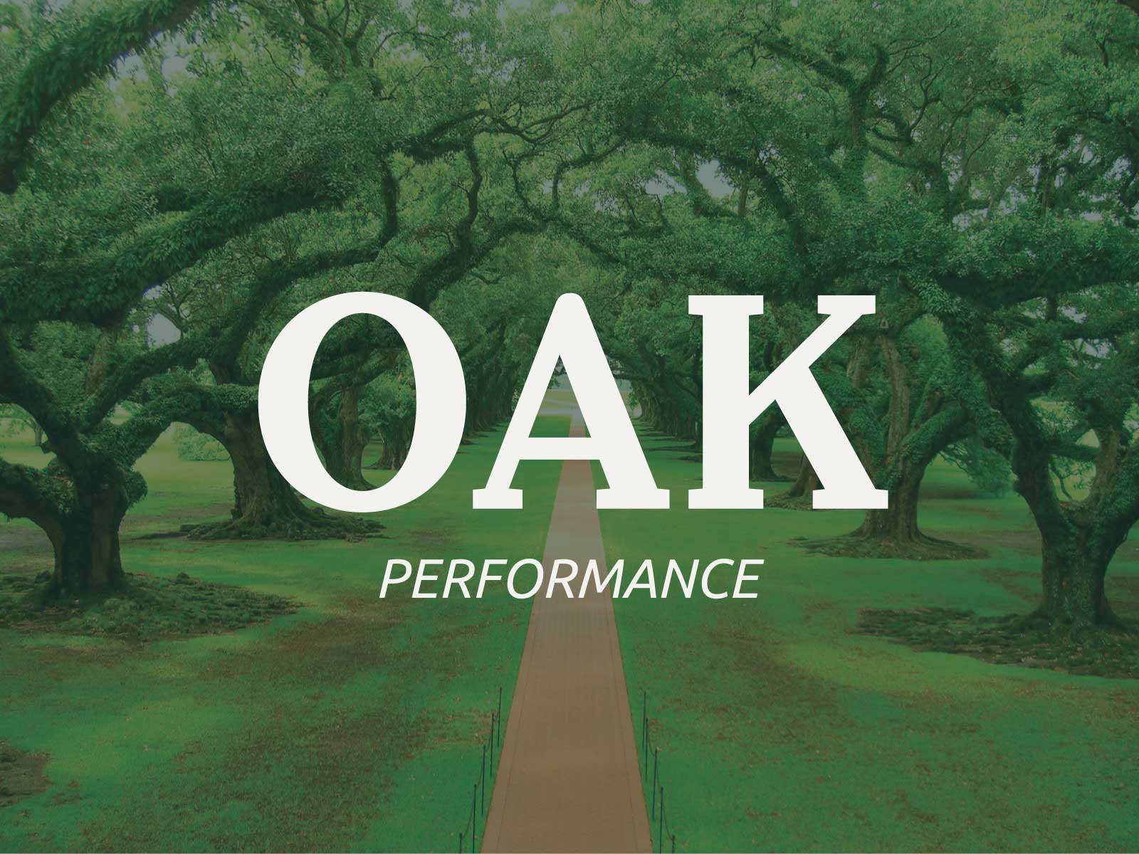 OAK Performance - Consultoria Financeira e Comercial para Empresas
